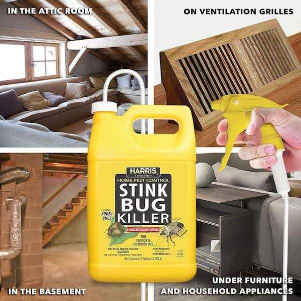 Harris Stink Bug Killer Home And Office Supplies Online Store